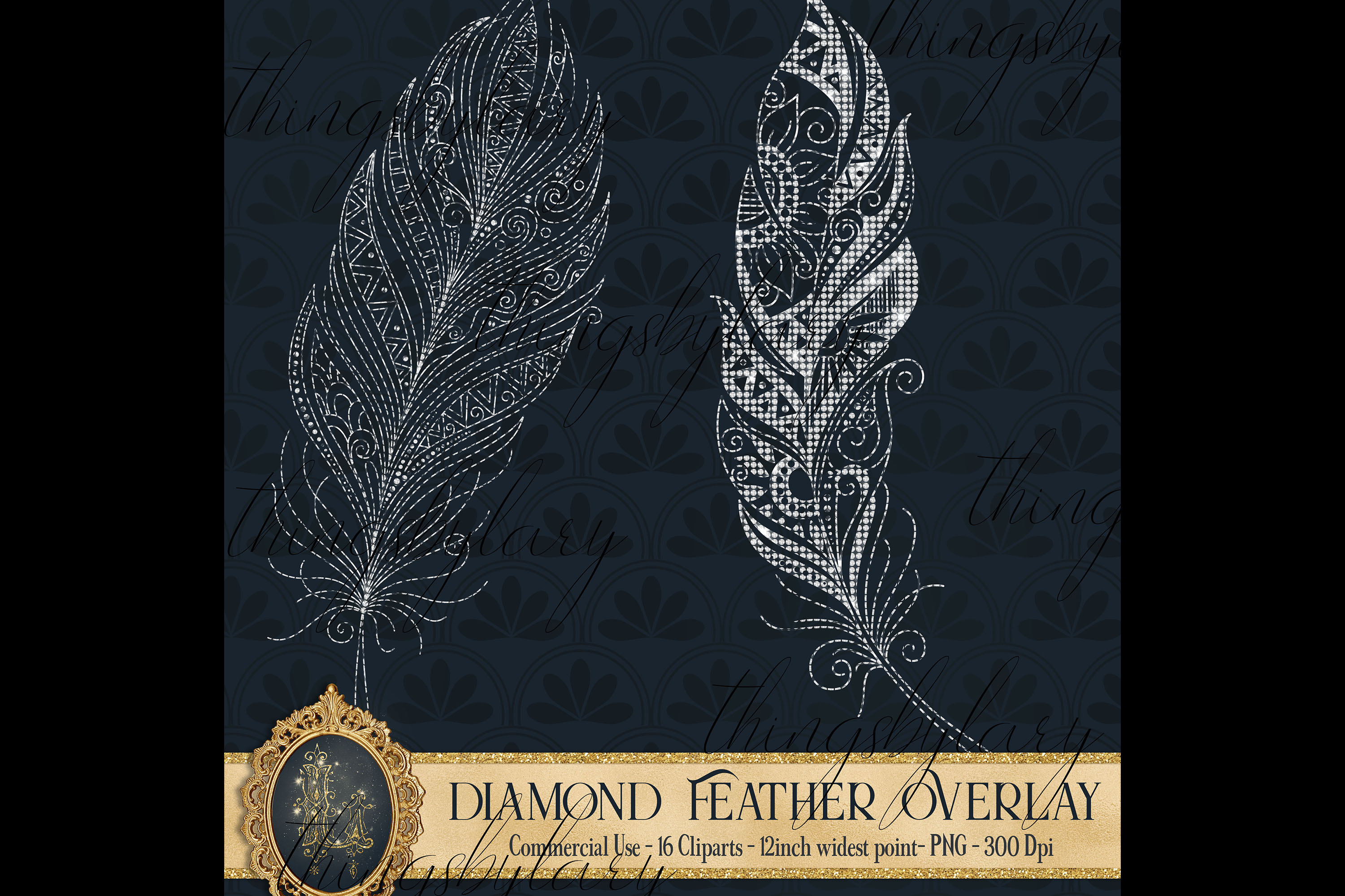 16 Diamond Feather Overlay Clip Arts, Boho Feather, Diamond