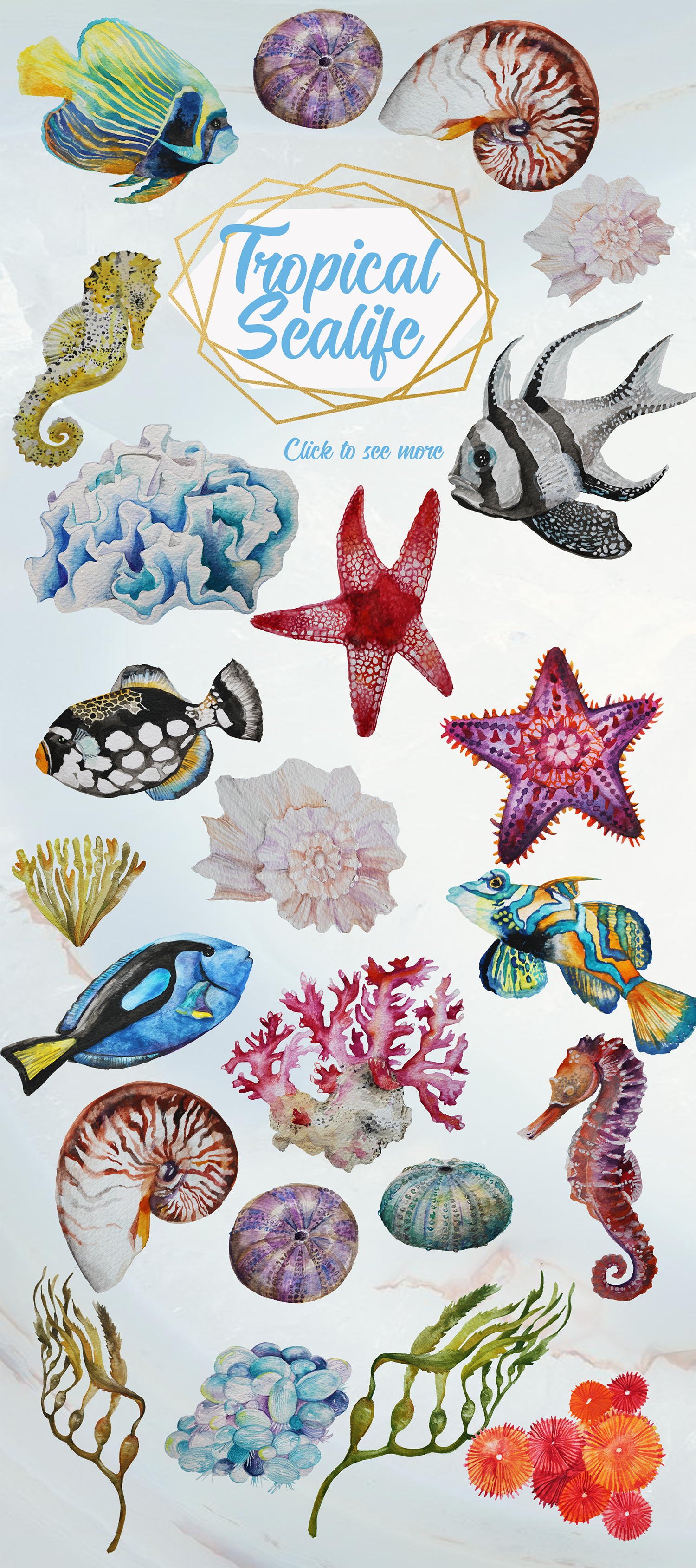 Tropical Sea Life Watercolor Clip Art (177578) | Illustrations | Design ...
