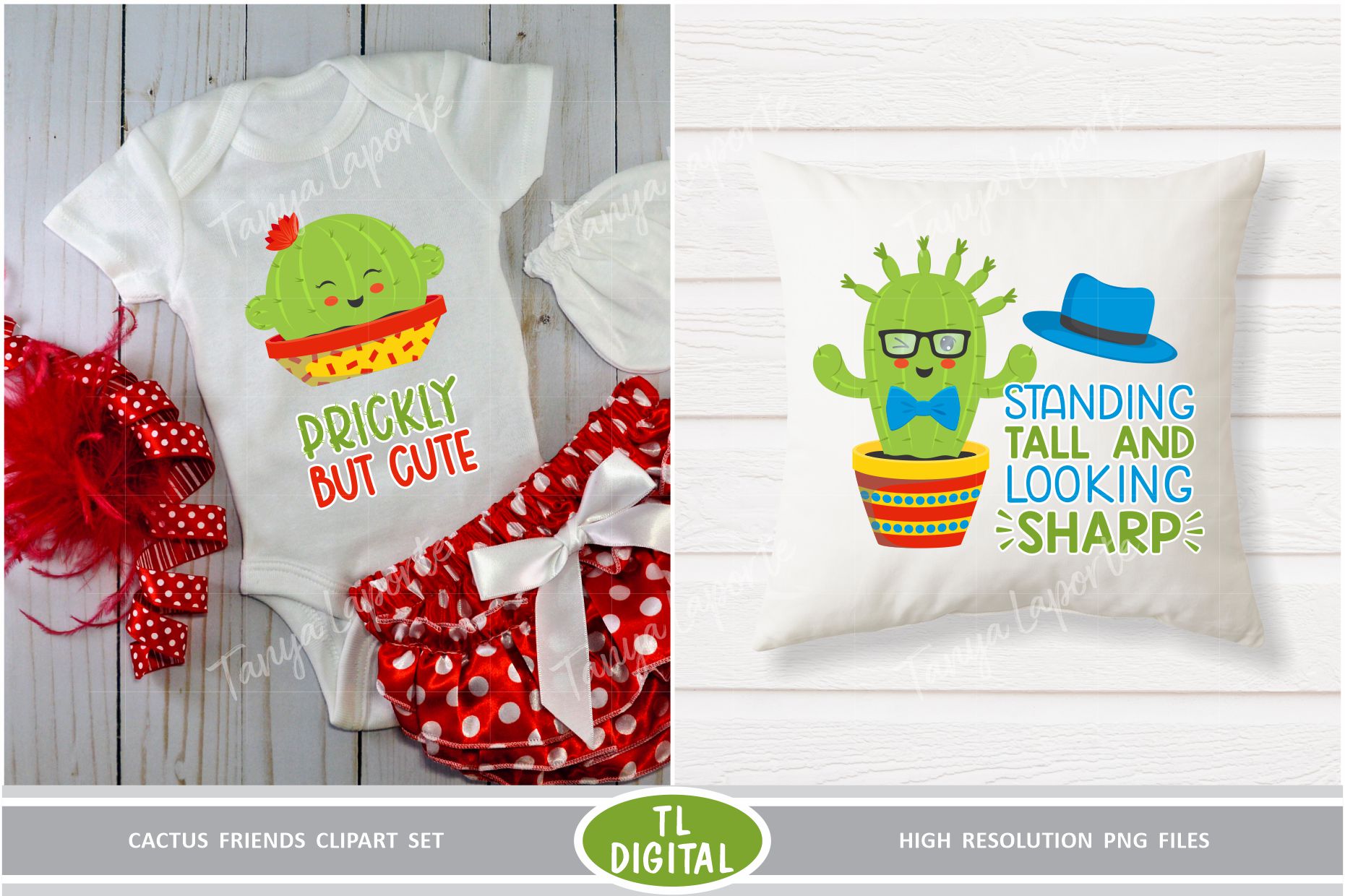 Cactus Friends Clipart Set - 19 Graphics - PNG Files