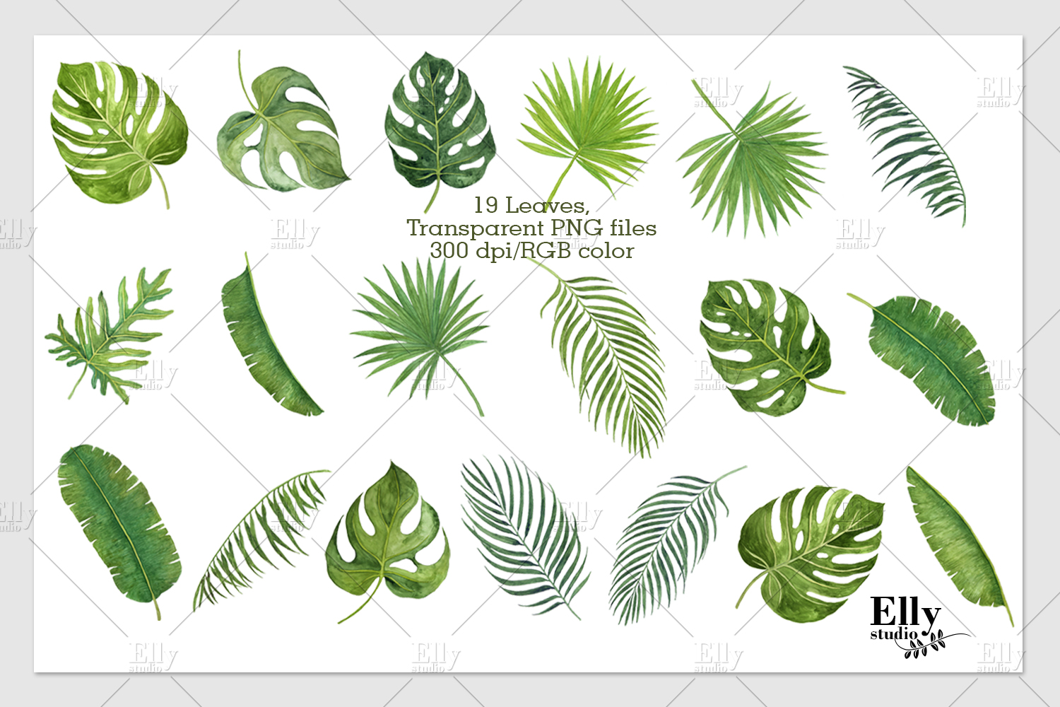 Tropical Leaves tropical-leaves