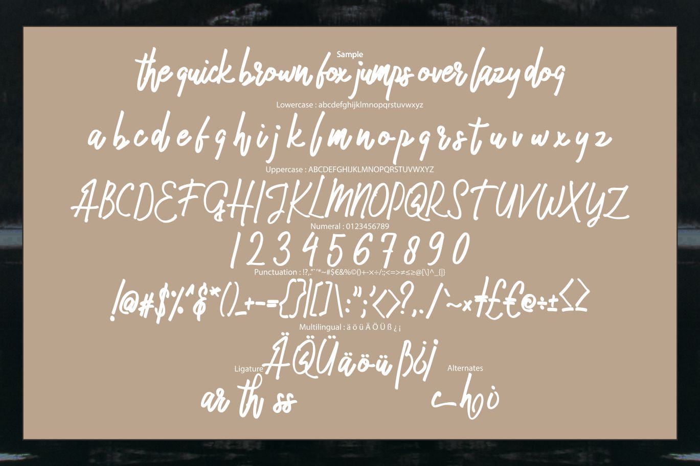 Malikec | Mono Script Font