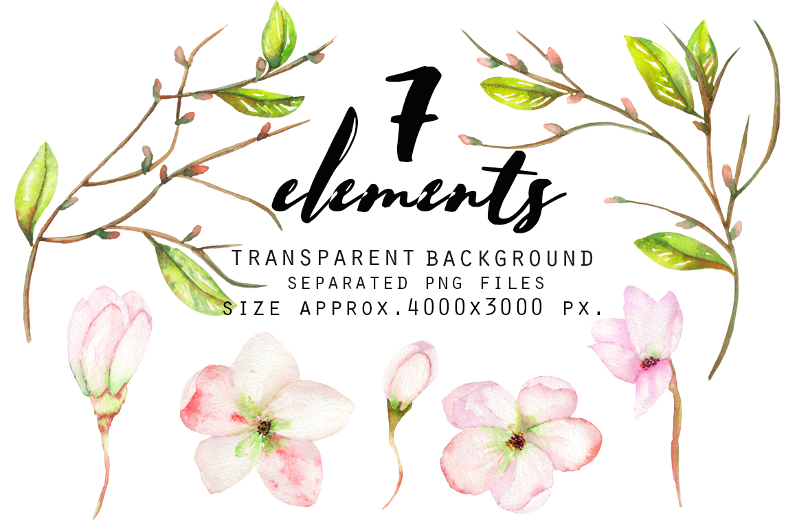 Apple blossom. Watercolor clip art. (188150) | Illustrations | Design ...