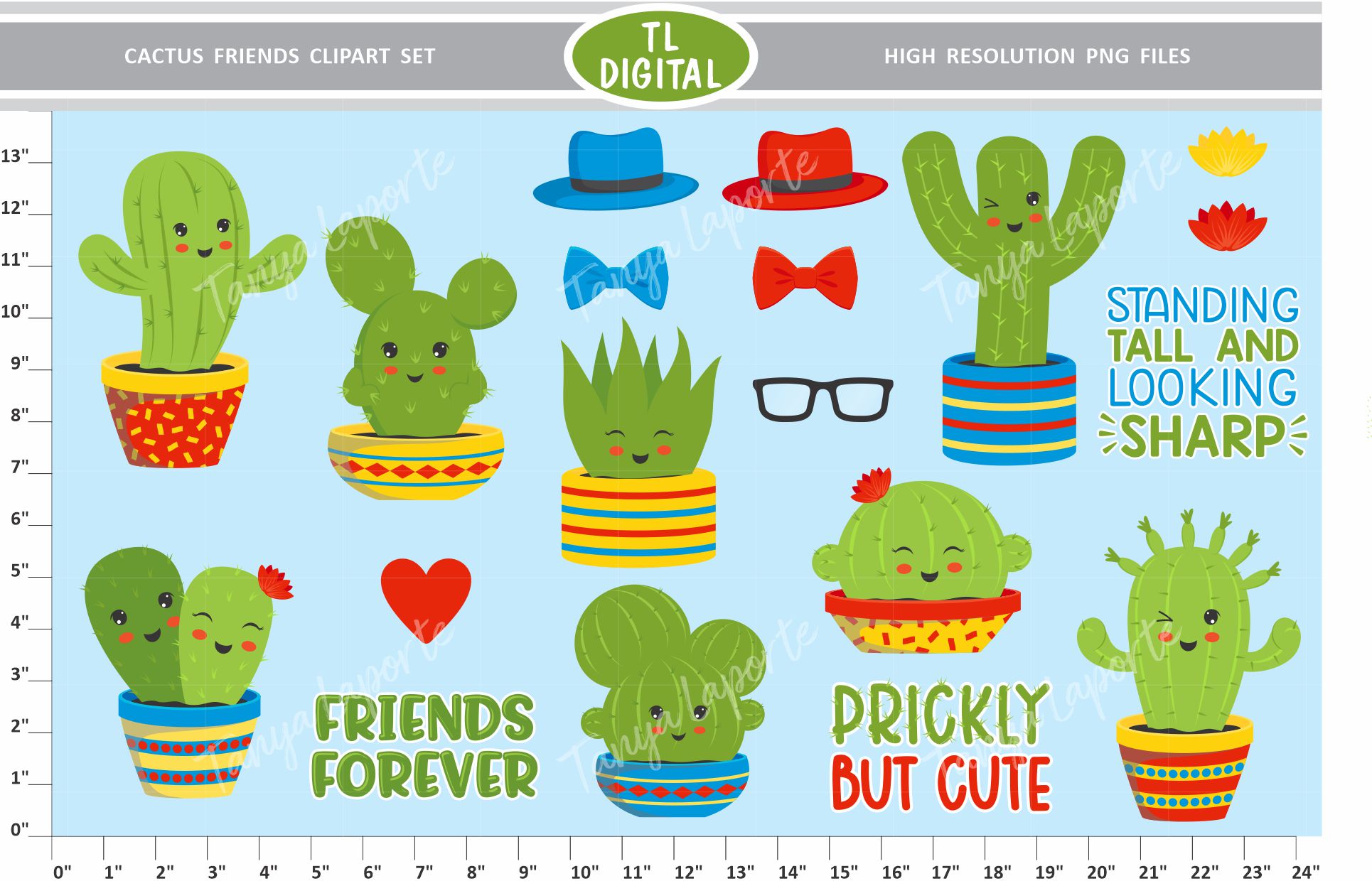 Cactus Friends Clipart Set - 19 Graphics - PNG Files