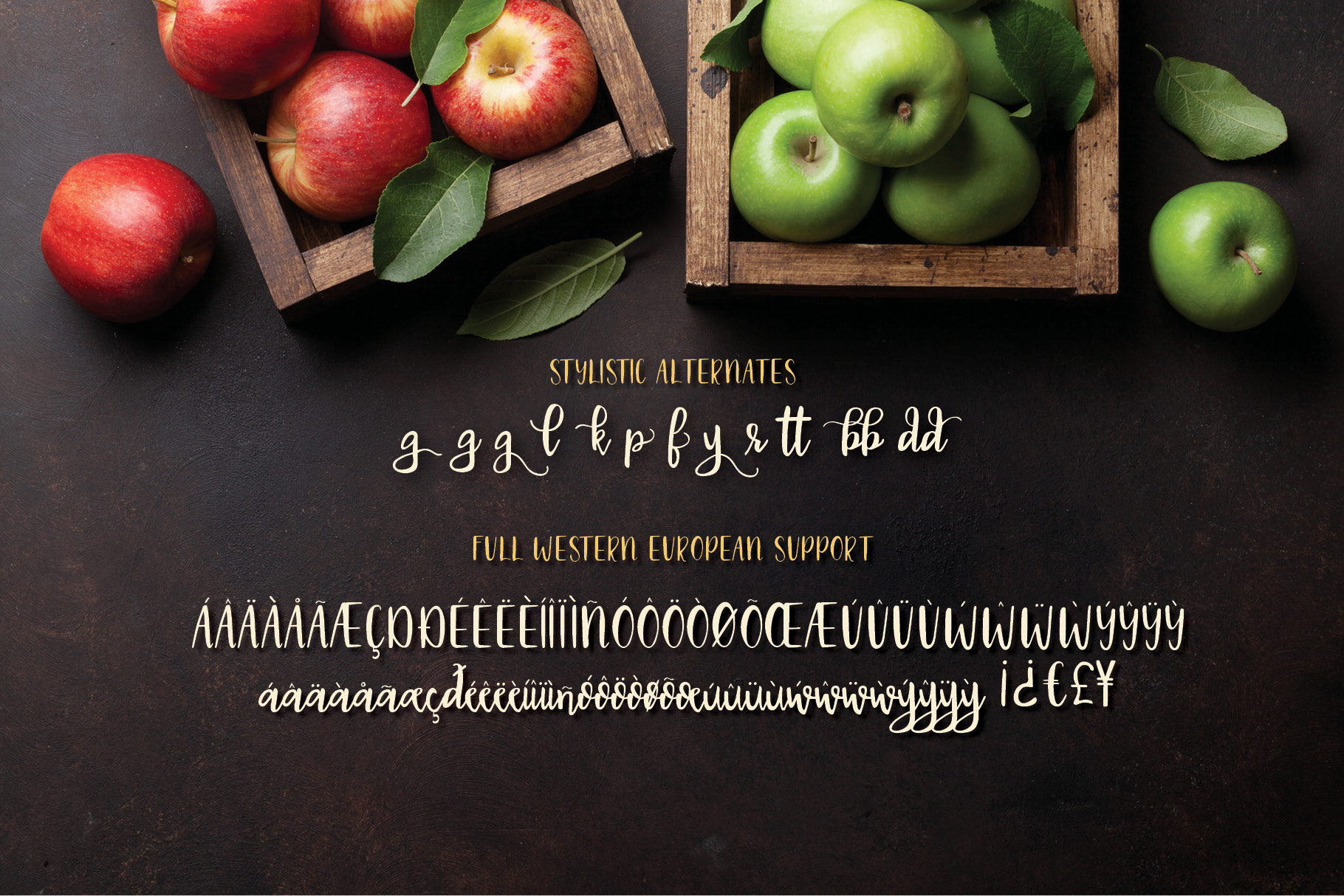 Applebutter Script (364149) | Handwritten | Font Bundles