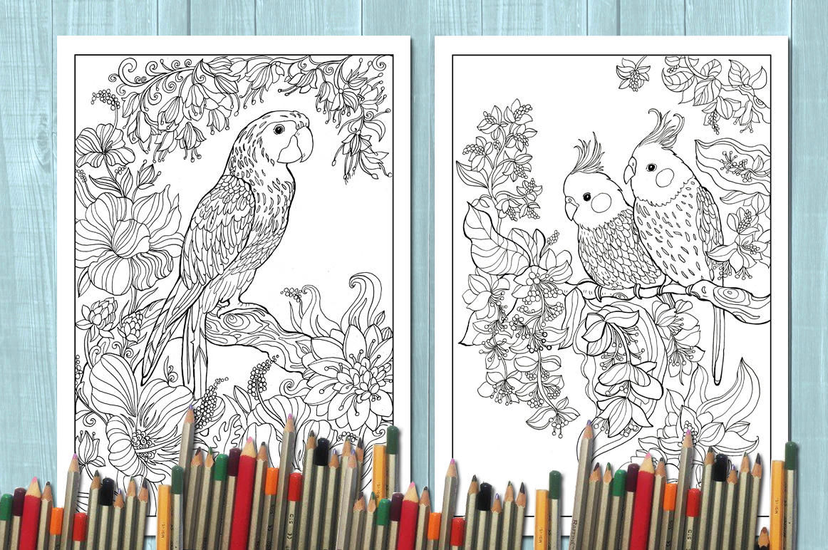 Coloring book /birds (16633) | Illustrations | Design Bundles