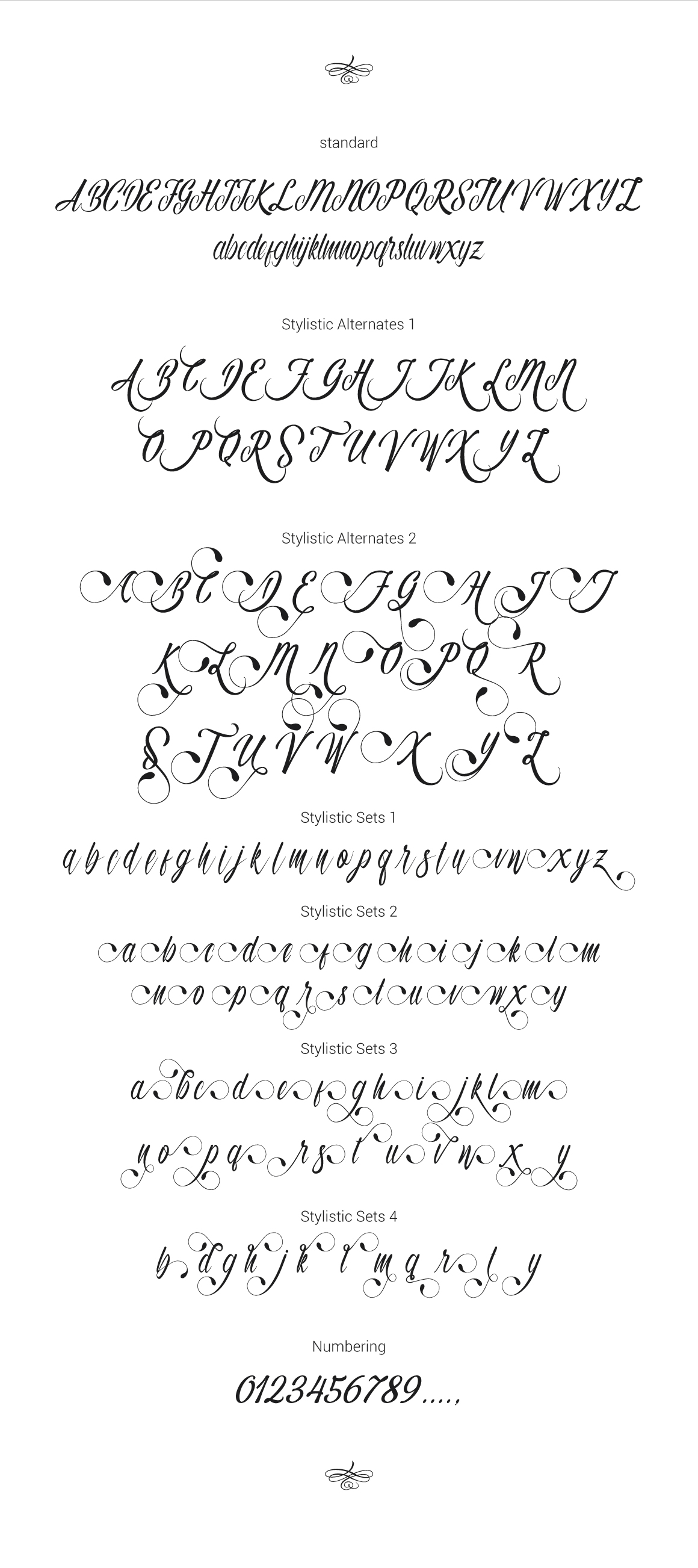 Autumn Flower Script (575) | Script | Font Bundles