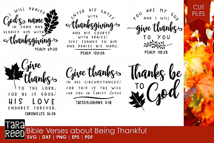 Bible Verses about Being Thankful