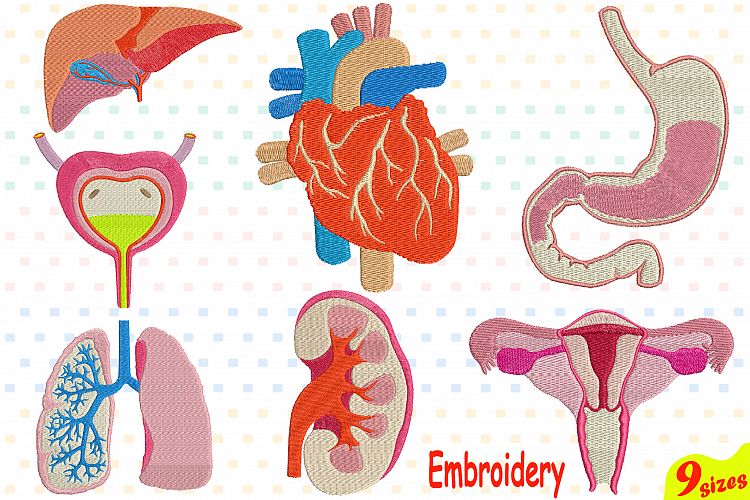 Organs Anatomy Embroidery Design Machine Instant Download Commercial ...