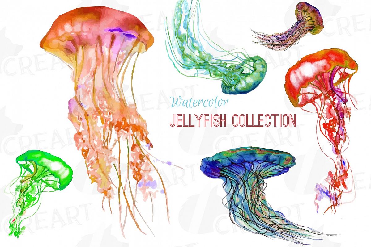 Jellyfish watercolor clip art pack, tropical jellyfish png (105329 ...