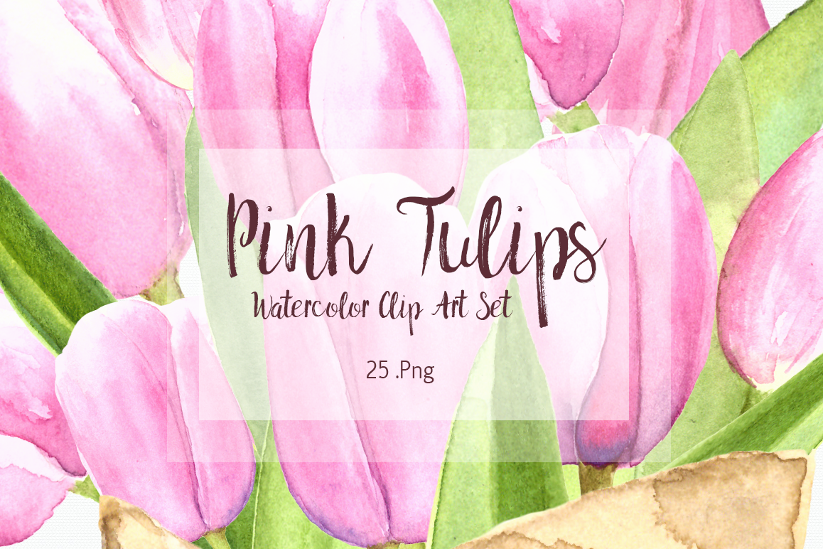 Watercolor Pink Tulips Clip art Set (52949) | Illustrations | Design ...