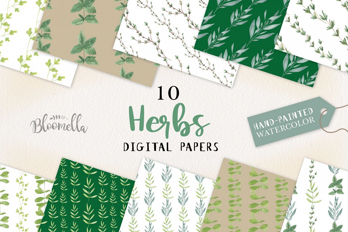 Herbs Seamless Patterns Digital Papers Mint Basil Sage Thyme