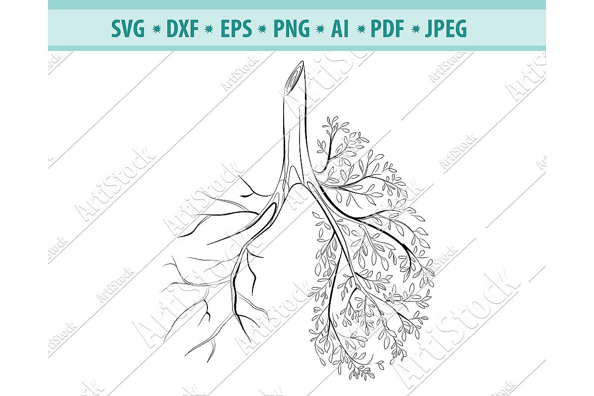 Human Lung svg, Lungs Svg Flowery,Health Svg, Dxf, Png, Eps (413514 ...
