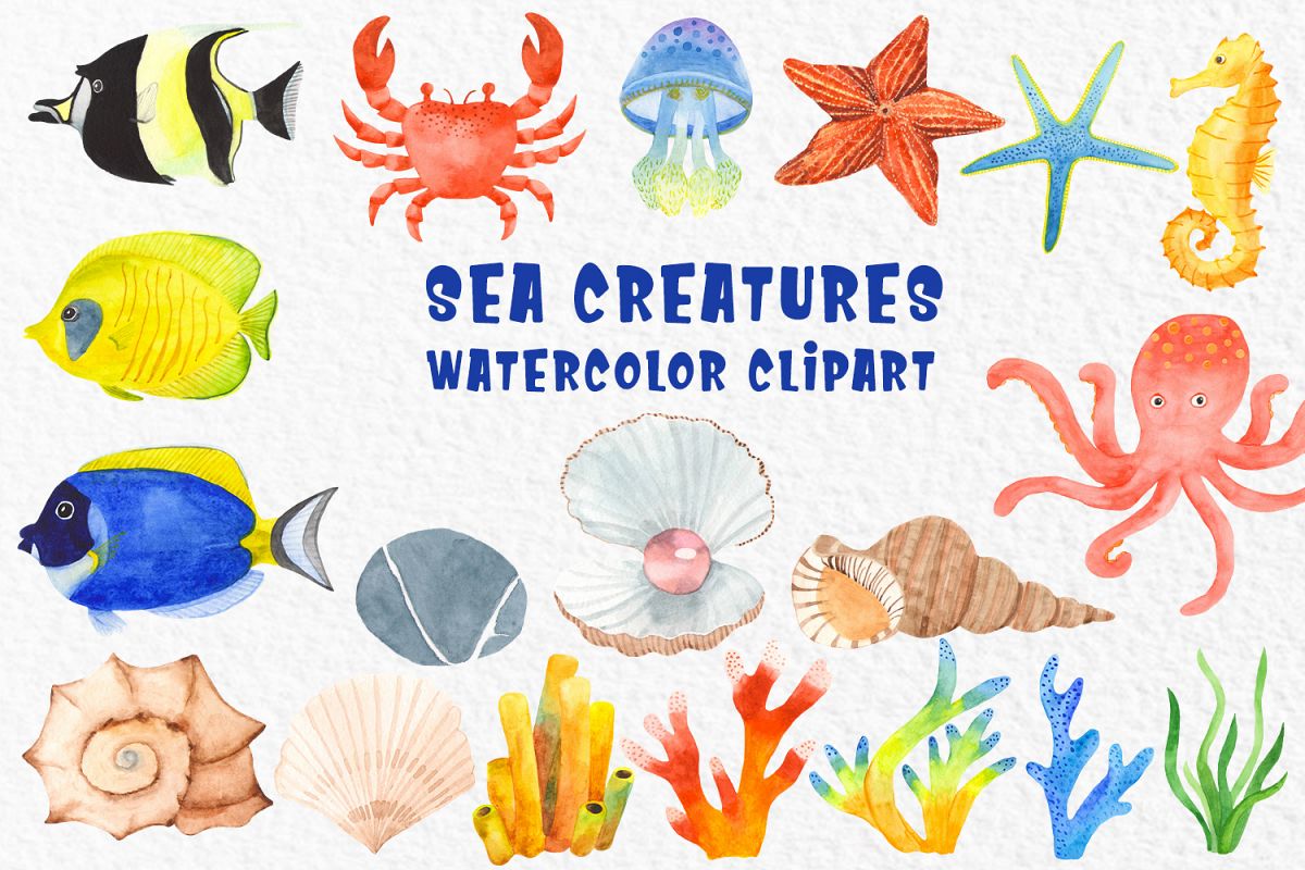Watercolor Marine set Sea creatures clipart
