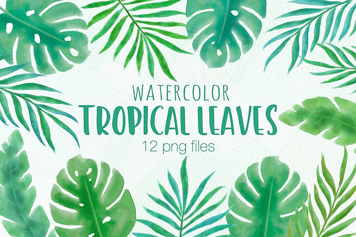 Tropical Leaf Watercolor Illustrations