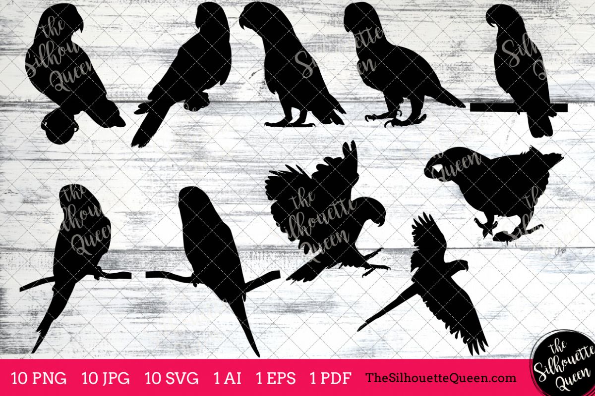 Parakeet Silhouette Clipart Clip Art(AI, EPS, SVGs, JPGs, PNGs, PDF ...