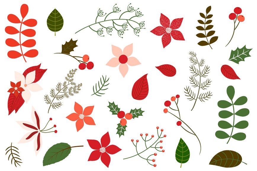 Christmas foliage, Holiday floral clipart