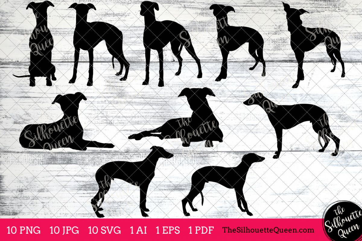 Whippet Silhouette Clipart Clip Art (AI, EPS, SVGs, JPGs, PNGs, PDF ...