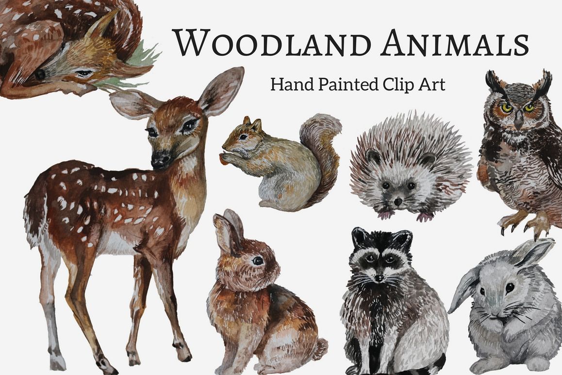 Woodland Animals Hand painted Clip Art Set