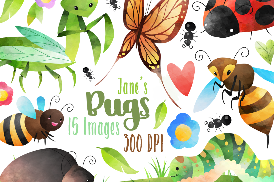 Watercolor Bugs Clipart (158925) | Illustrations | Design Bundles
