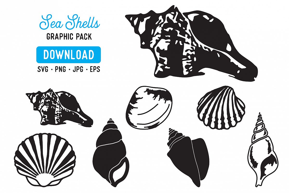Sea Shells Vector SVG Bundle - Shell Graphic Bundle