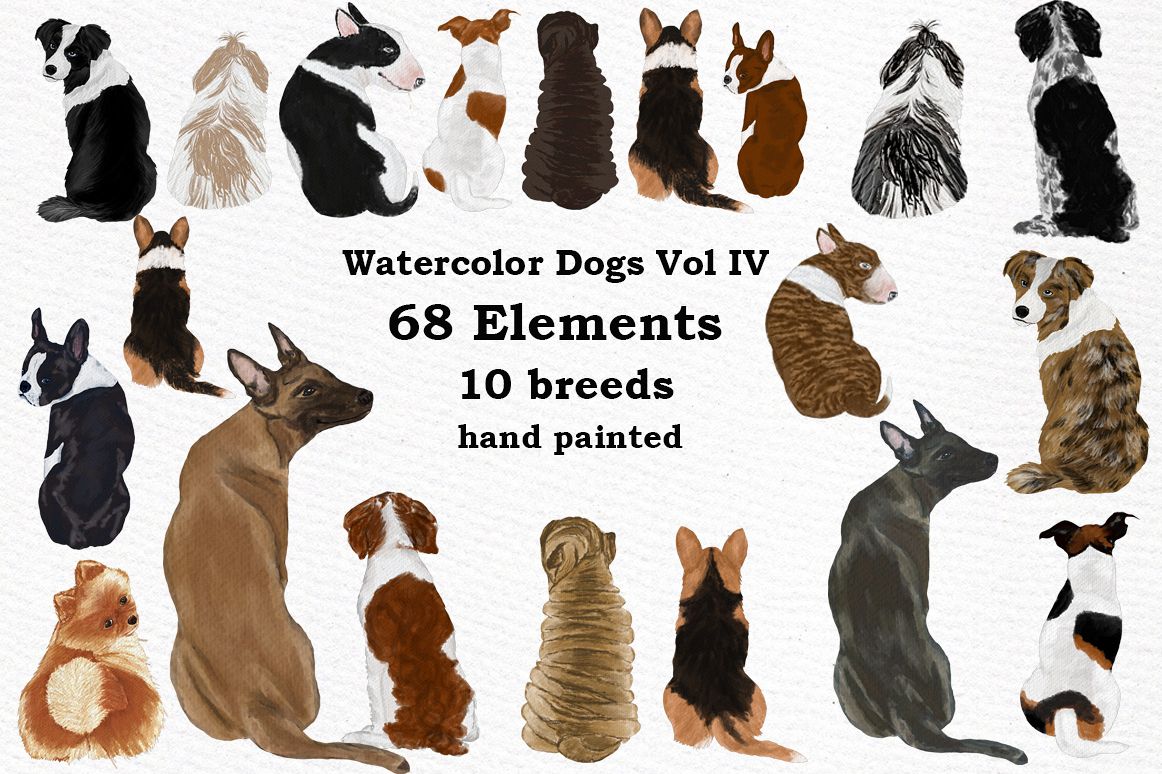 Dog Clipart, Dog breeds, Pet clipart,Puppies clipart Dog Png (352365 ...