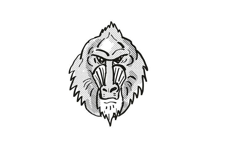 Mandrill Monkey Cartoon Retro Drawing (372908) | Illustrations | Design ...