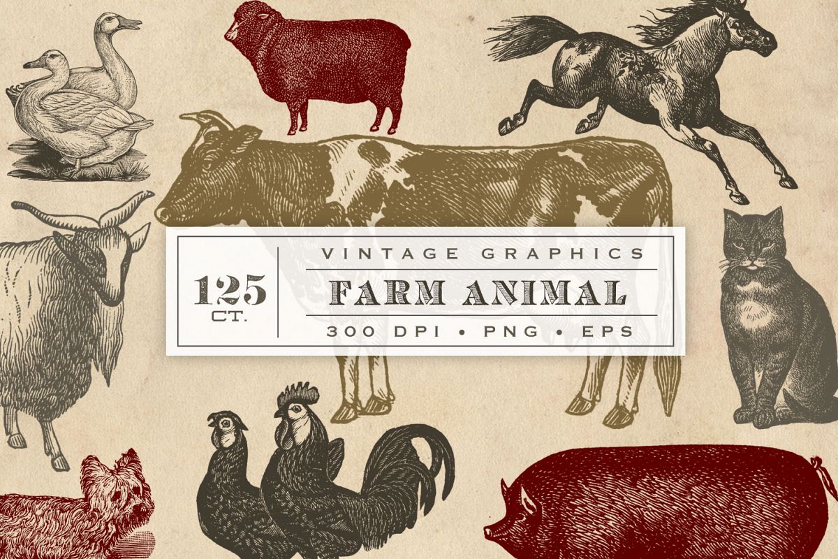 Vintage Farm Animal Vector Graphics