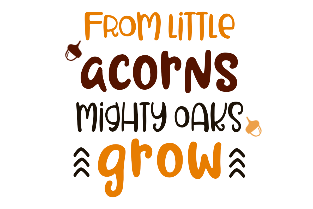 From Little Acorns (107790) | SVGs | Design Bundles