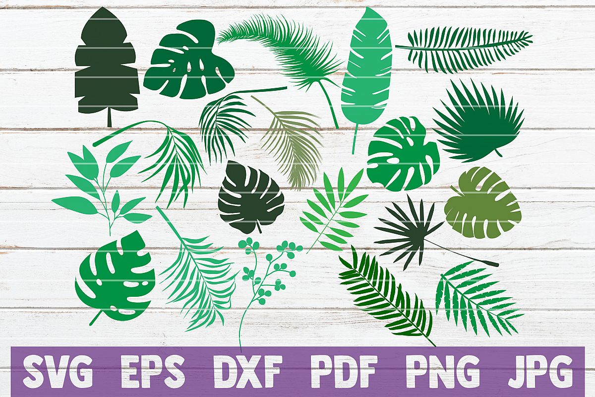 20 Tropical Leaves | Paper Leaves SVG (223488) | Cut Files | Design Bundles