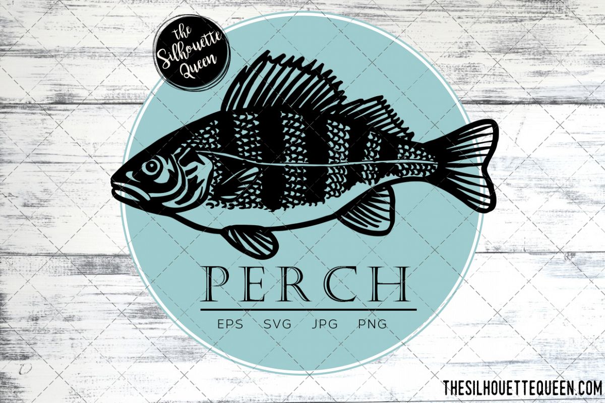 Hand drawn, Sketched Perch Fish Vector (281669) | Illustrations ...