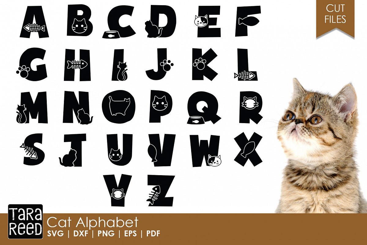 Cat Alphabet
