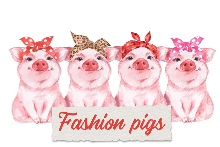 Fashion pigs