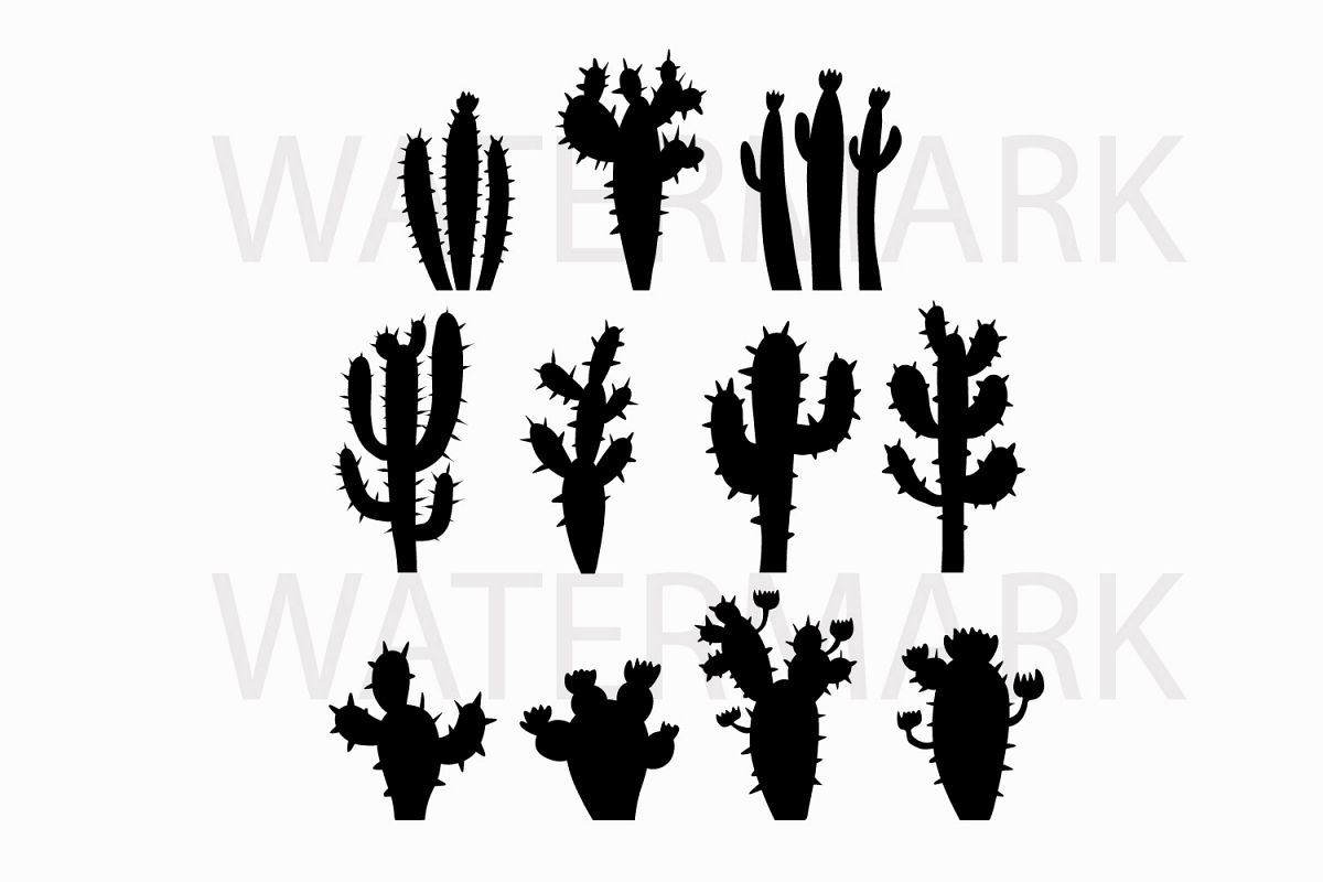 Bundle Desert Cactus - SVG/JPG/PNG Hand Drawing