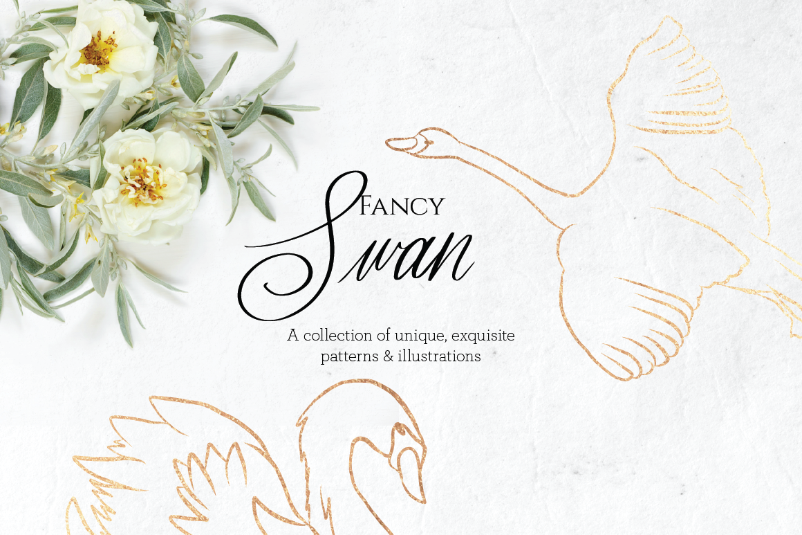 Fancy Swan Collection (79811) | Illustrations | Design Bundles