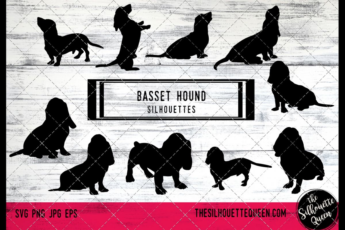 Basset Hound Dog svg files cricut, silhouette clip art, Vect