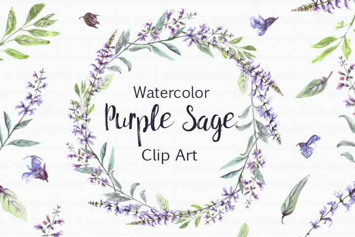 Watercolor Purple Sage Clip Art Set