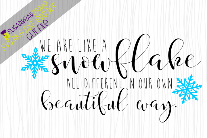 We Are Like A Snowflake Different In Our Own Beautiful Way
