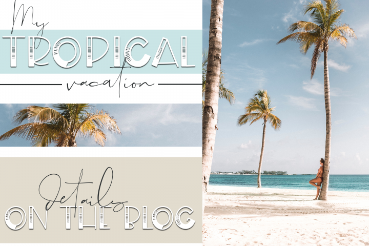 Boardwalk - A Fun Handwritten Font - Free Font of The Week | Font Bundles