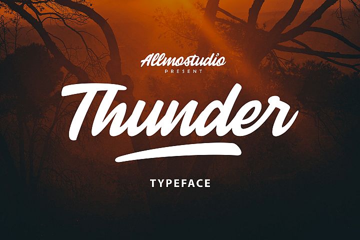 Thunder (196739) | Script | Font Bundles
