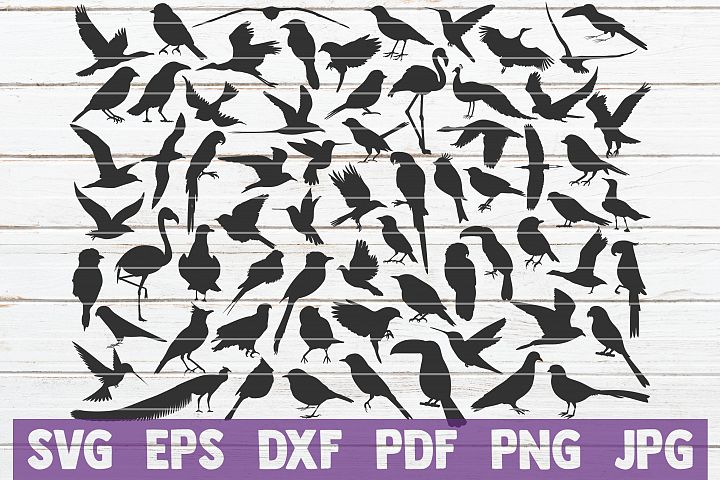 Birds SVG Cut File | commercial use (248734) | Cut Files | Design Bundles