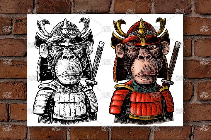 Monkey in japan armor with samurai sword behind. Engraving (232347 ...