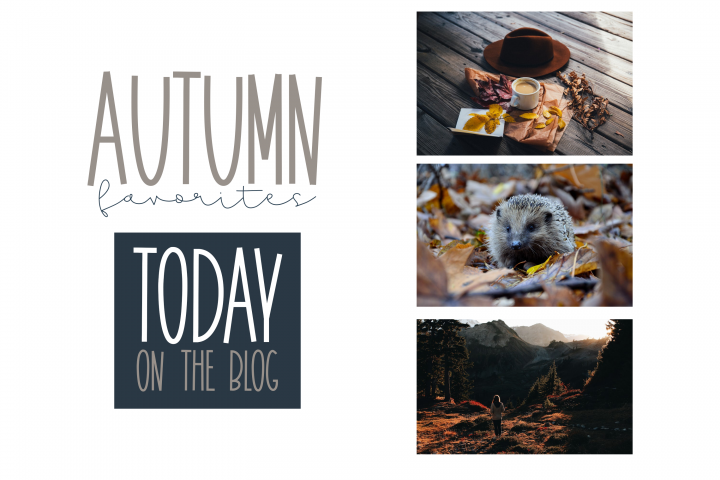 Free Font Of The Week | Font Bundles