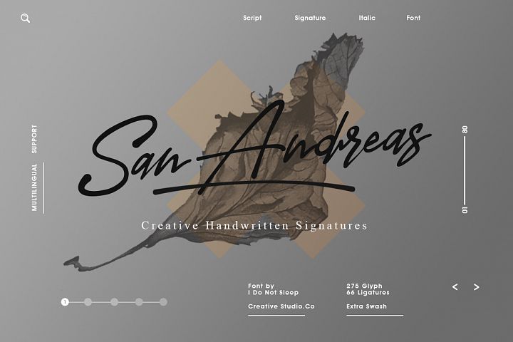 San Andreas Signature Font (192267) | Script | Font Bundles