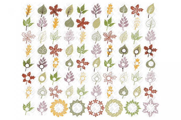 Leaf SVG Fall Leaves Autumn in SVG, DXF, PNG, EPS, JPEG (153242) | Cut ...