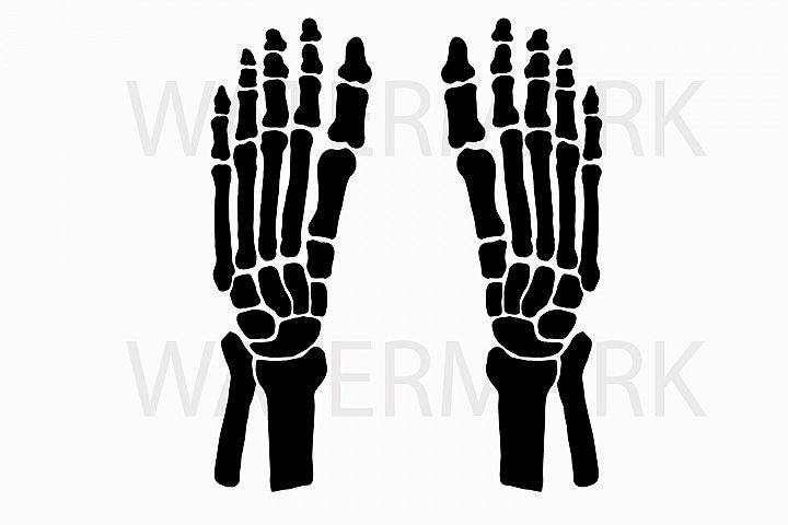 Skeleton Feet Left and Right - SVG/JPG/PNG Hand Drawing (78455 ...