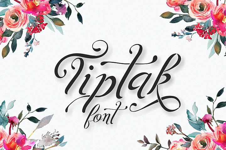 Tiptak (147827) | Script | Font Bundles