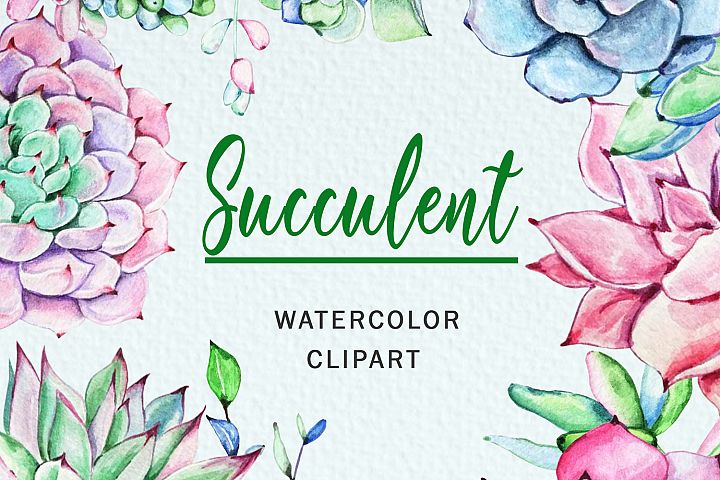 Succulent Watercolor Clipart