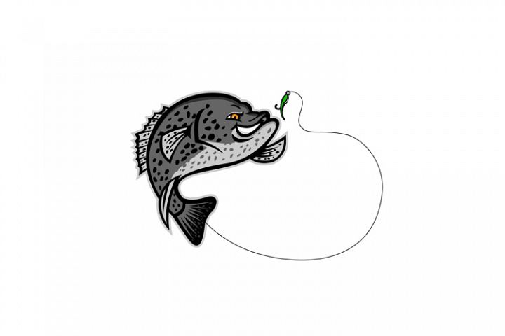 Crappie Jumping For A Bait Mascot (139043) | Illustrations | Design Bundles