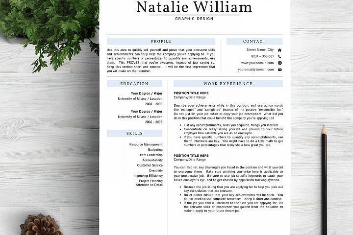 Professional Resume Template Word