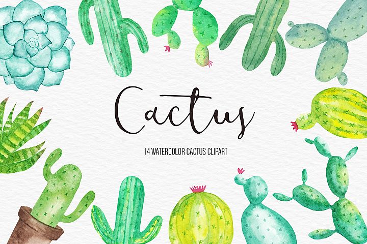 Watercolor Cactus illustration, Cactus Clipart, Succulent (378899 ...